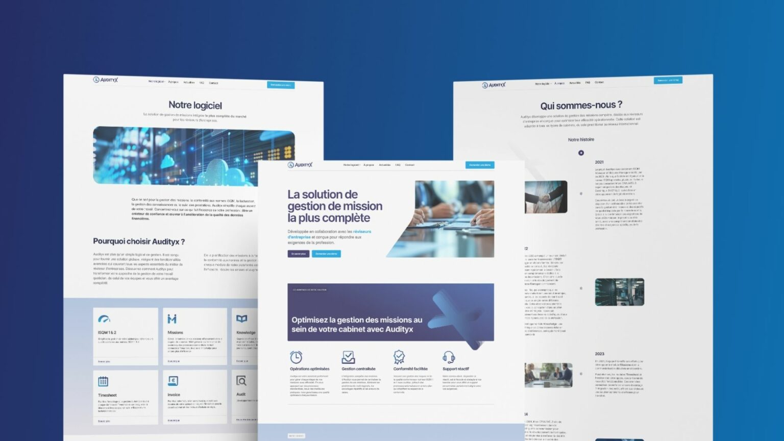 Welcome to Our New Website: Audityx, the Most Comprehensive Solution for Company Auditors - Audityx